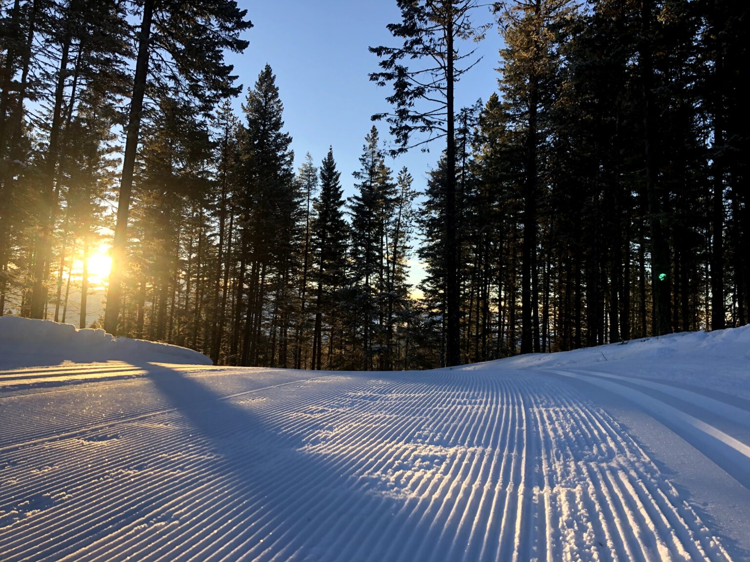 Telemark Nordic – Come out and play!