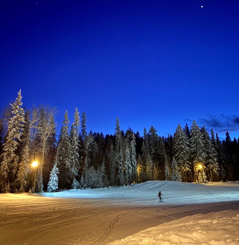 Telemark Nordic – Come out and play!