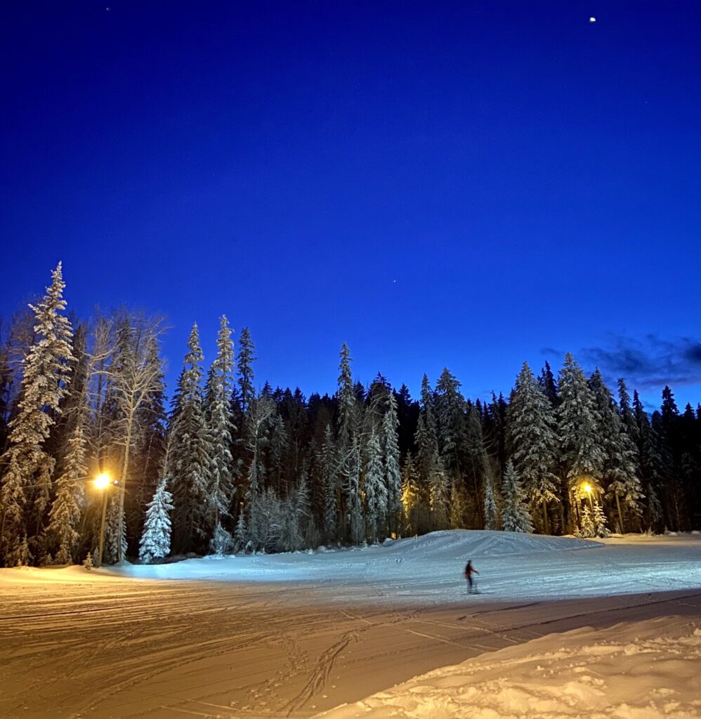 Telemark Nordic – Come out and play!