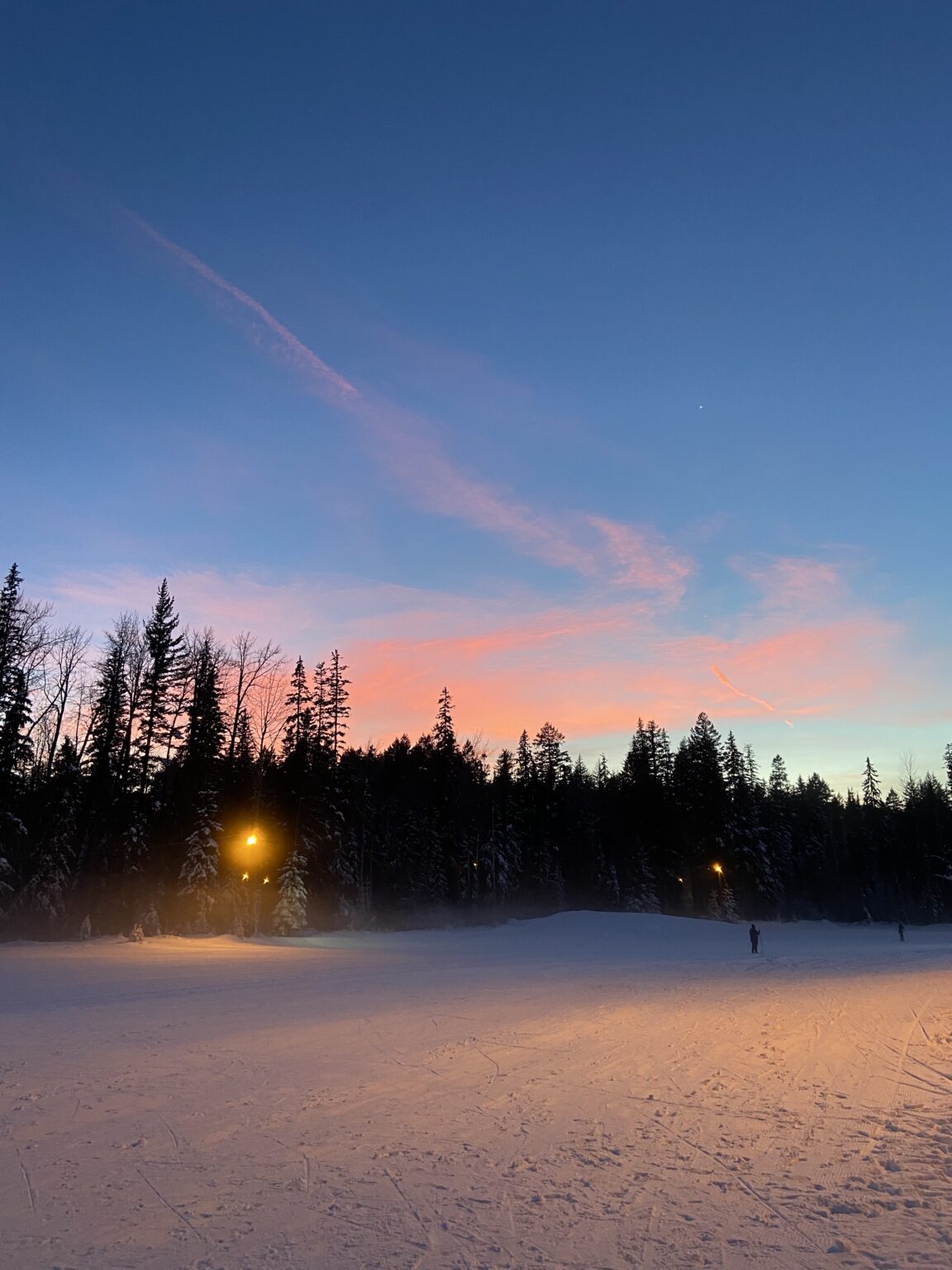 Telemark Nordic – Come out and play!