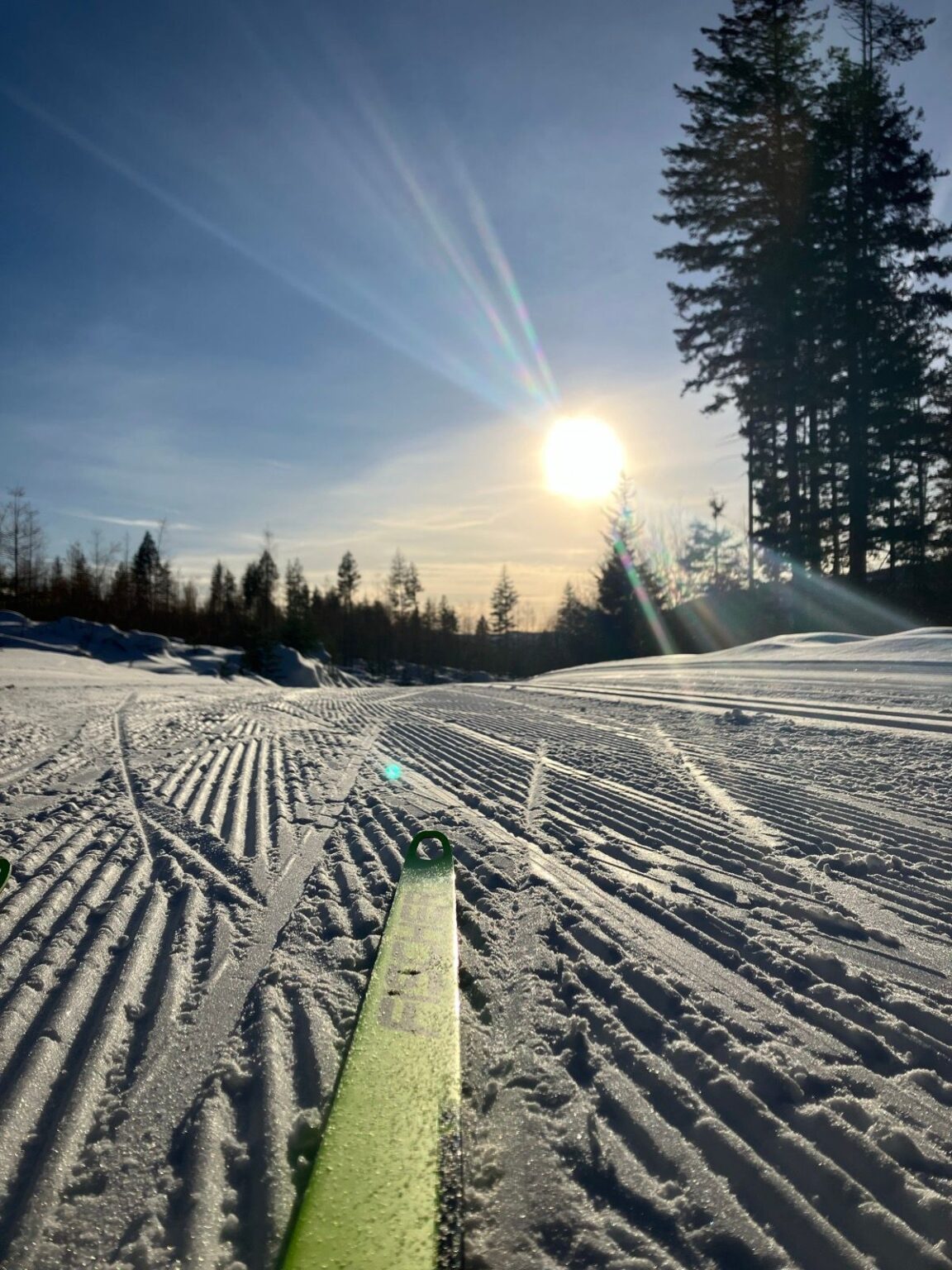 Telemark Nordic – Come out and play!